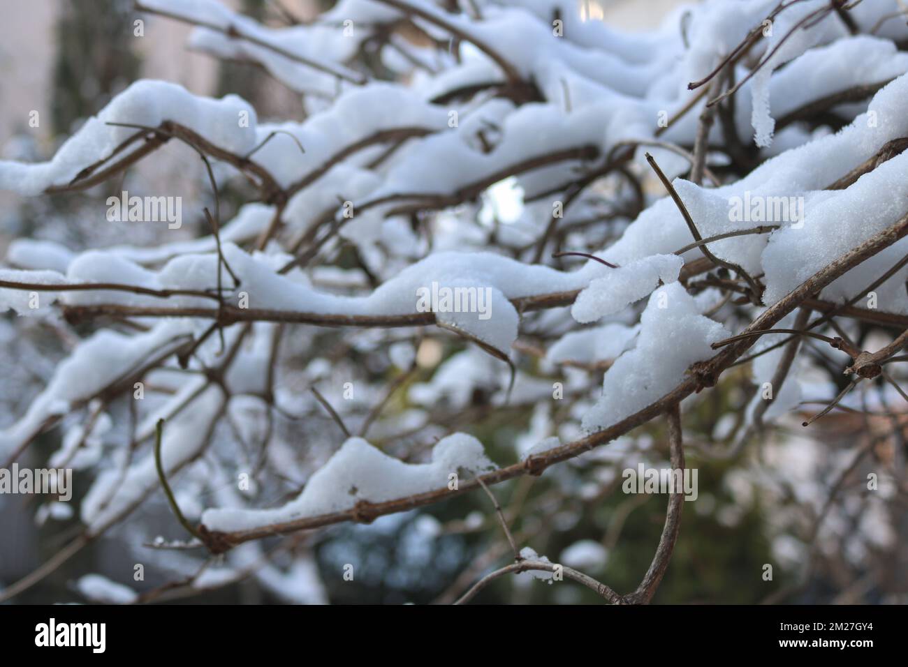Weather snow cold hi-res stock photography and images - Alamy