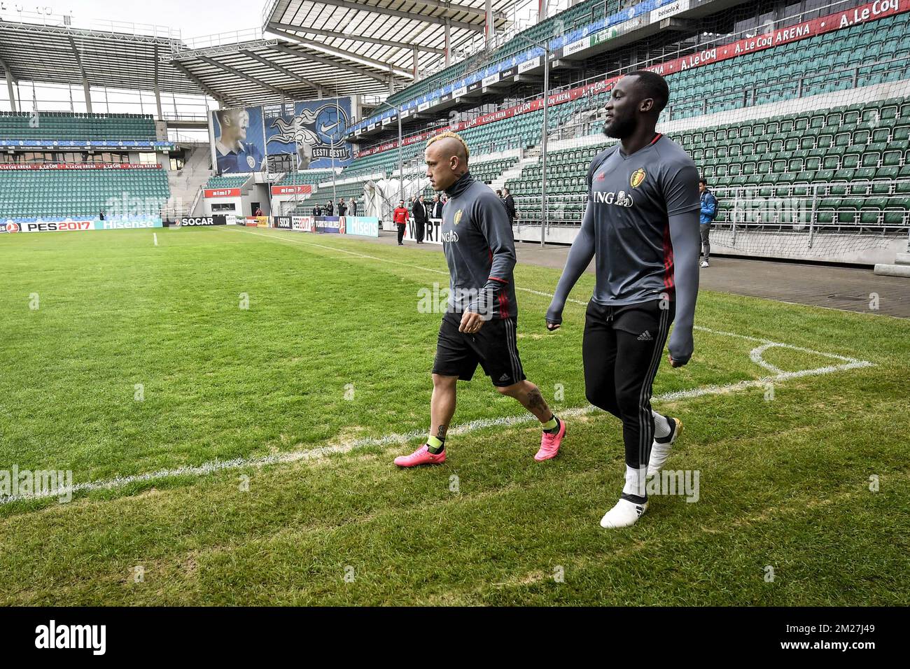 Belgium's Radja Nainggolan and Belgium's Romelu Lukaku pictured during ...