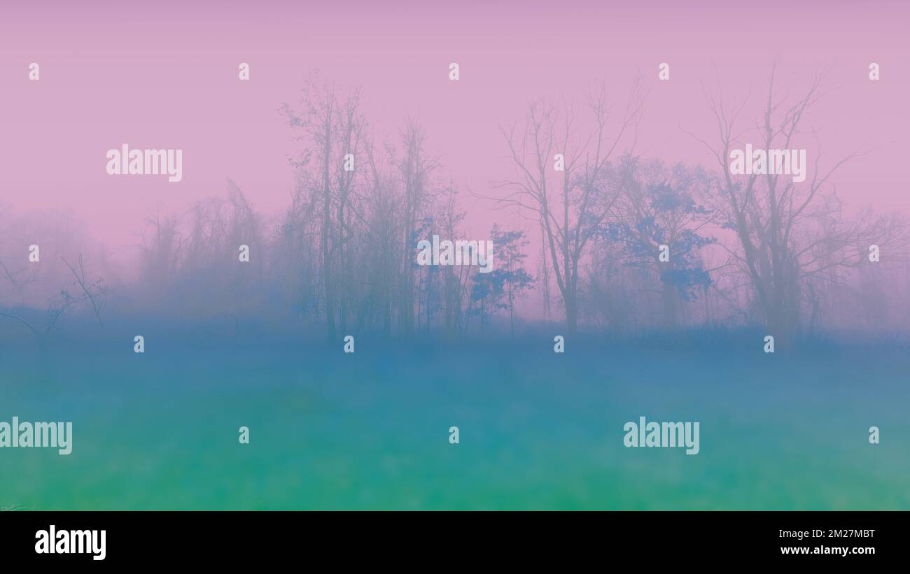 Foggy winter forest trees oversaturated with color filter gradient ...