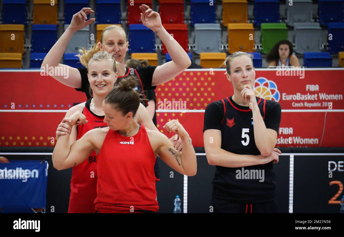 Belgian Cats Ann Wauters, Belgian Cats Hanne Mestdagh, Belgian Cats ...