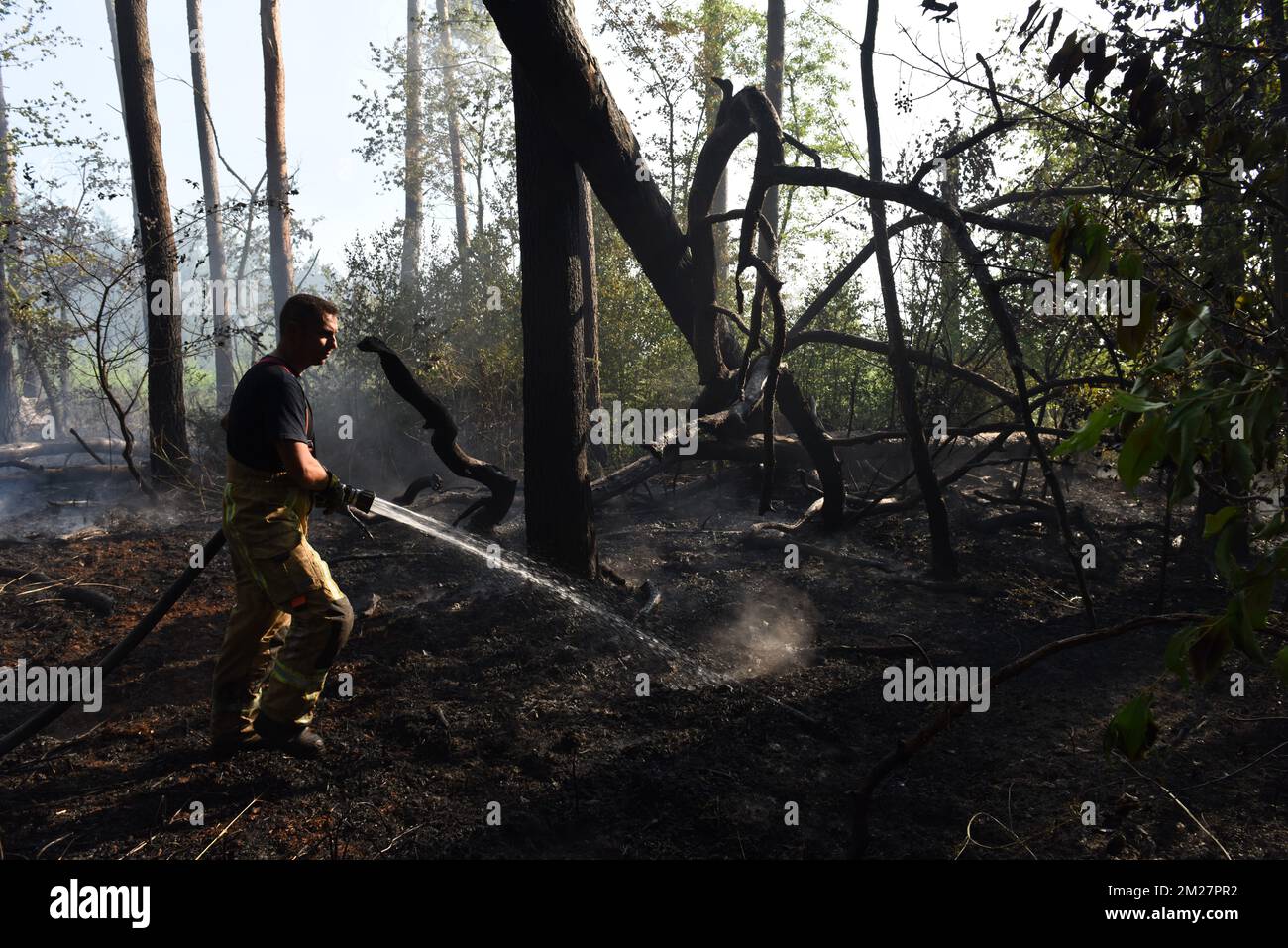Firelen pictured as a fire started earlier today in the Villers wood in ...