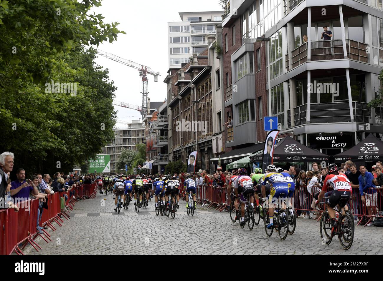 Illustration picture shows the pack of riders in action during the men ...