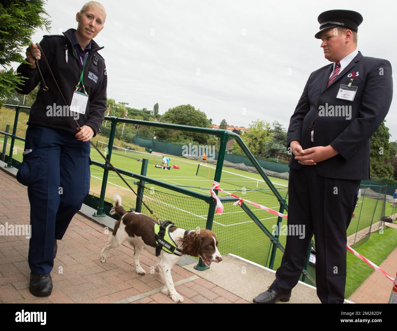 Are Dogs Allowed At Wimbledon Tennis