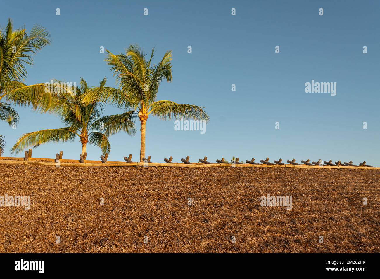 Tiki bar roof hi-res stock photography and images - Alamy