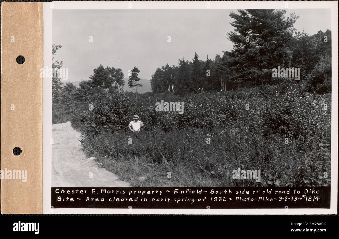 Elizabeth morris hi-res stock photography and images - Alamy