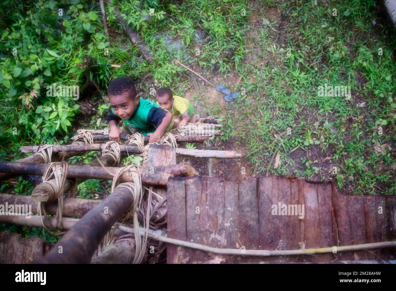 The Korowai tribe, often referred to as the Tree Asmat Tribe because ...