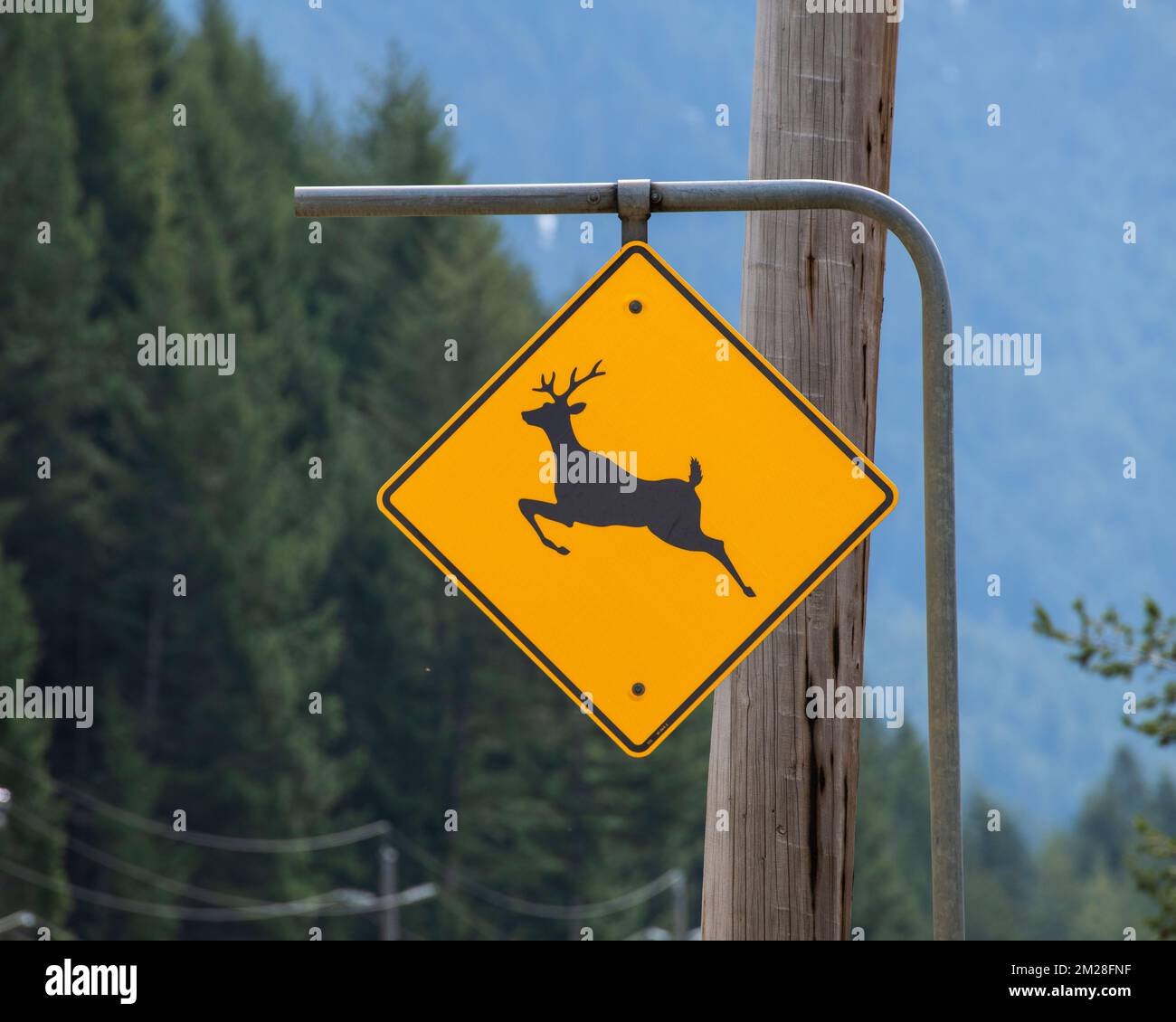 Deer crossing sign in North Bend, British Columbia, Canada Stock Photo ...