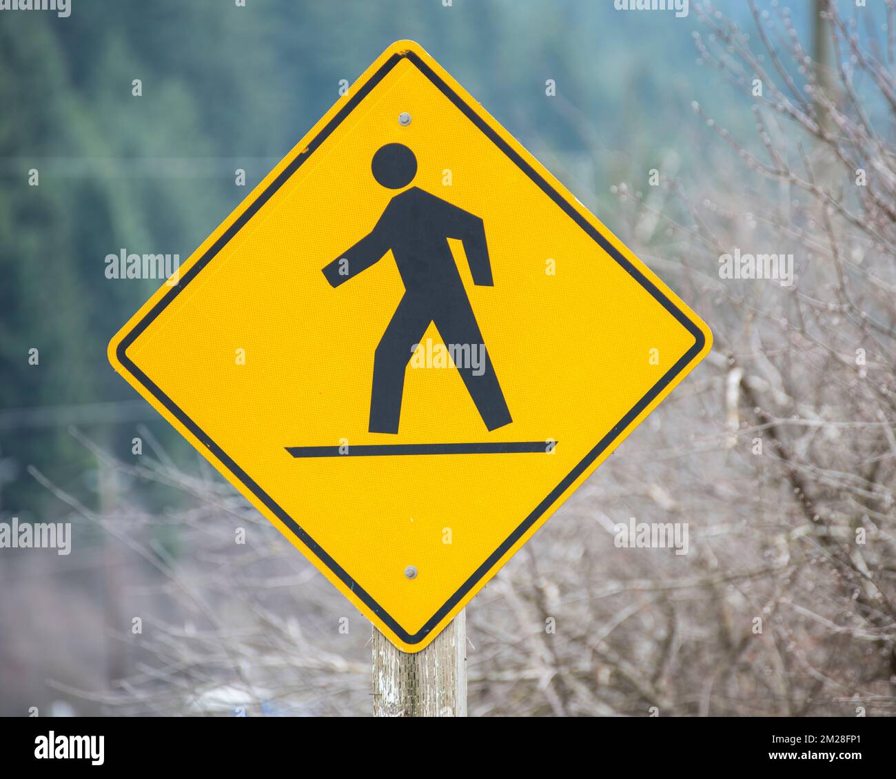 Canadian pedestrian crossing hi-res stock photography and images - Alamy