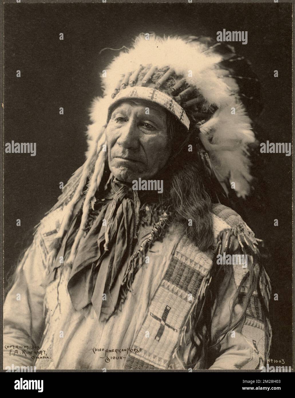 Chief American Horse, Sioux , Indians of North America, Dakota Indians ...