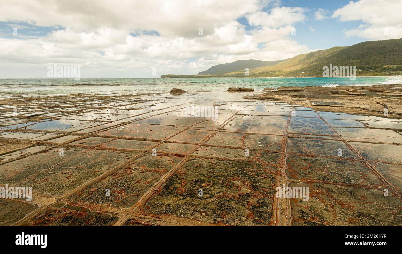 Tessellated pavements are extremely rare. They are only found in a few ...