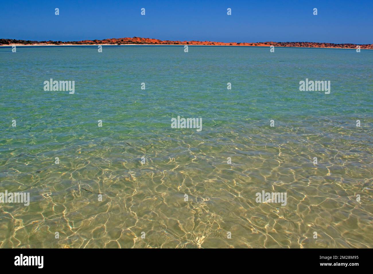 Big Lagoon, Francois Peron National Park Stock Photo - Alamy