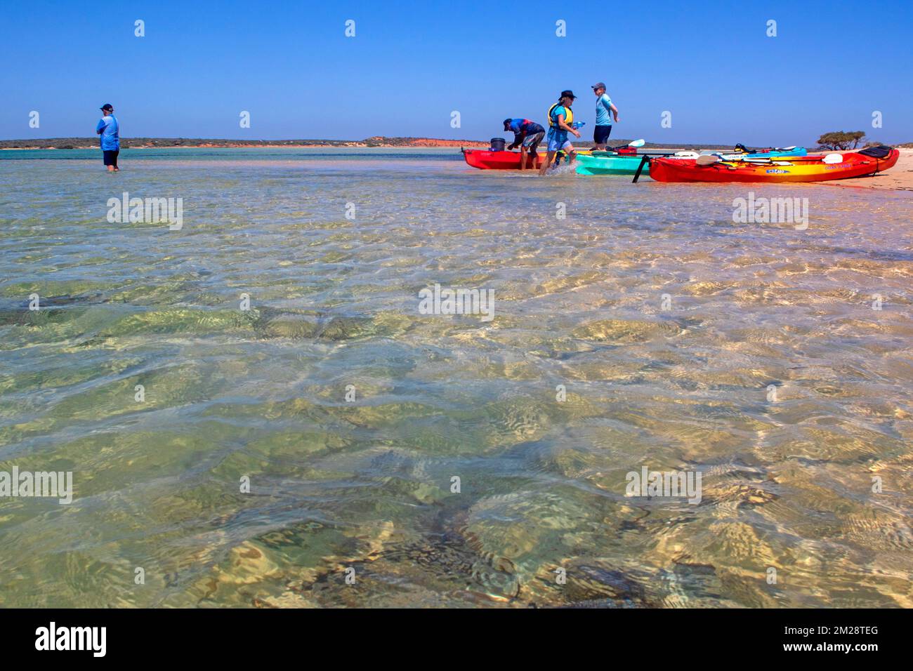 Kayakers on Big Lagoon, Francois Peron National Park Stock Photo - Alamy