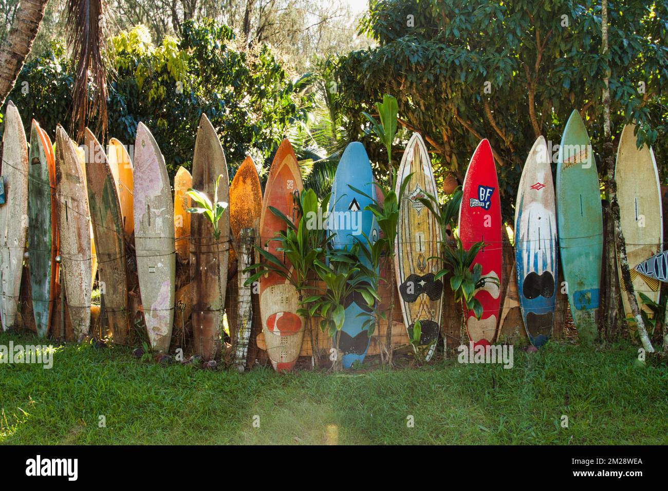Sufboard wall hi-res stock photography and images - Alamy