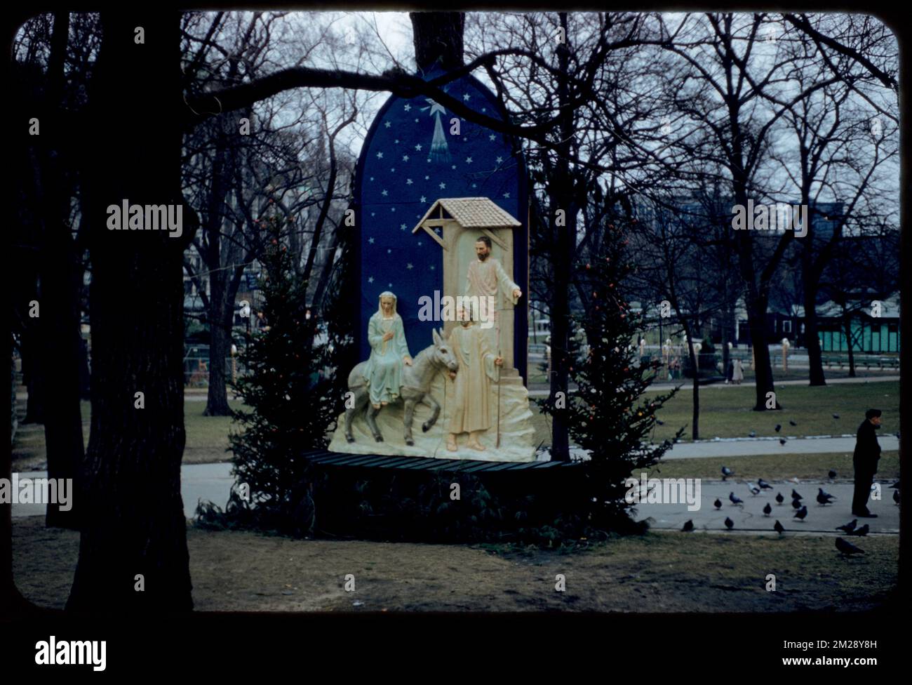 Christmas scene, Boston Common , Christmas decorations, Holidays ...