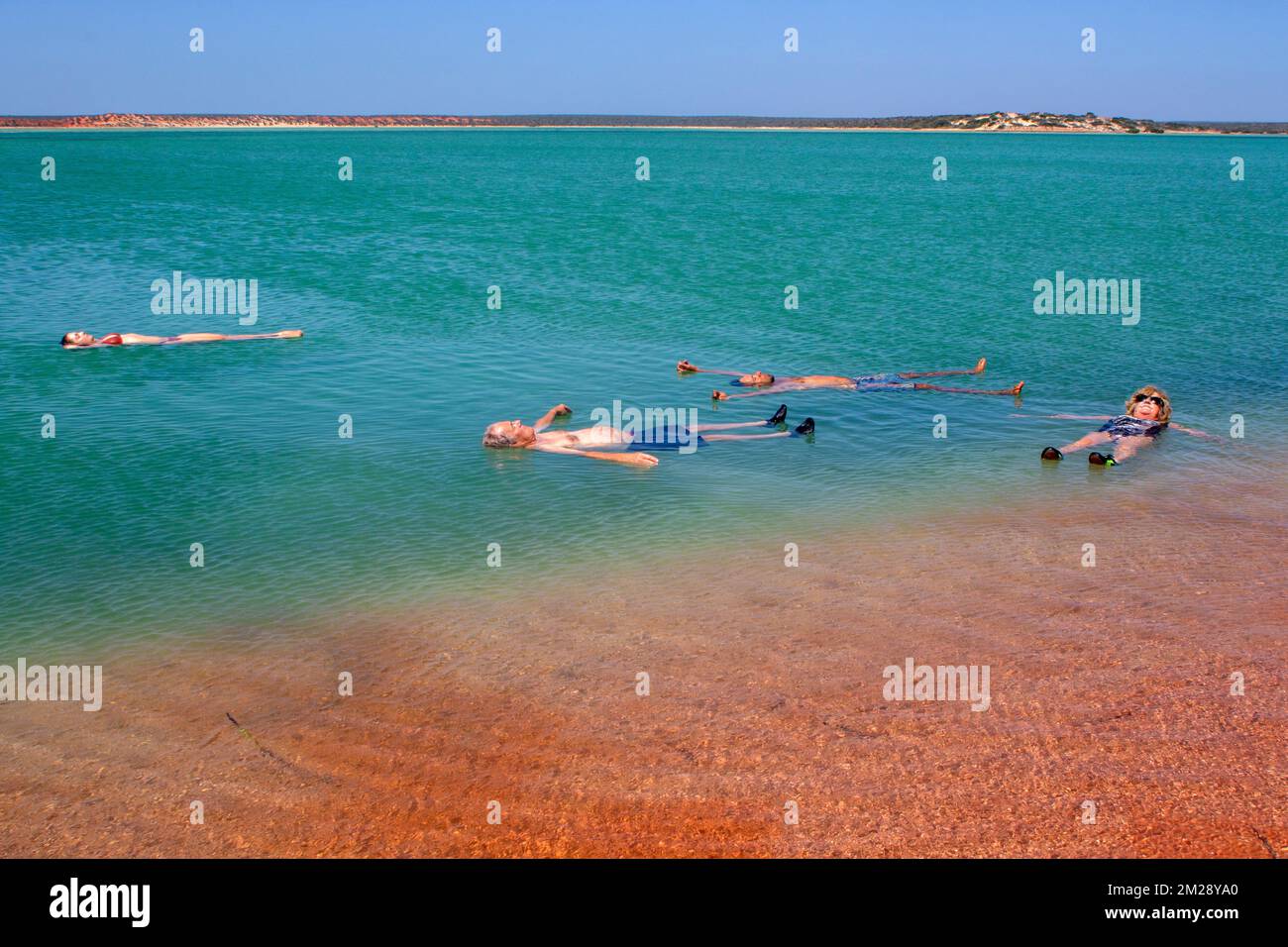 Swimming in Big Lagoon, Francois Peron National Park Stock Photo - Alamy