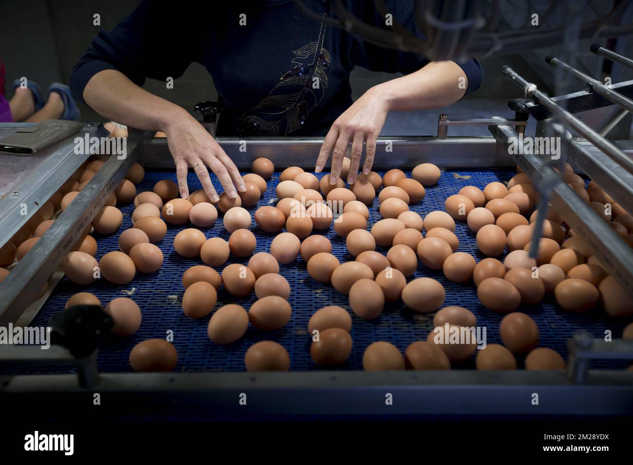 Assembly line samples hi-res stock photography and images - Alamy