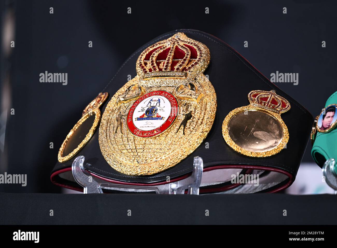 Ariake Arena Tokyo, Japan. 13th Dec, 2022. WBA General view, DECEMBER ...