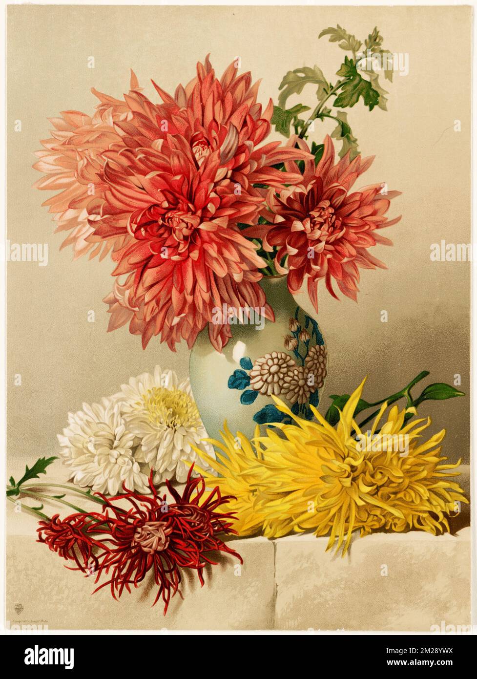 Chrysanthemums , Chrysanthemums, Vases. Louis Prang & Company ...