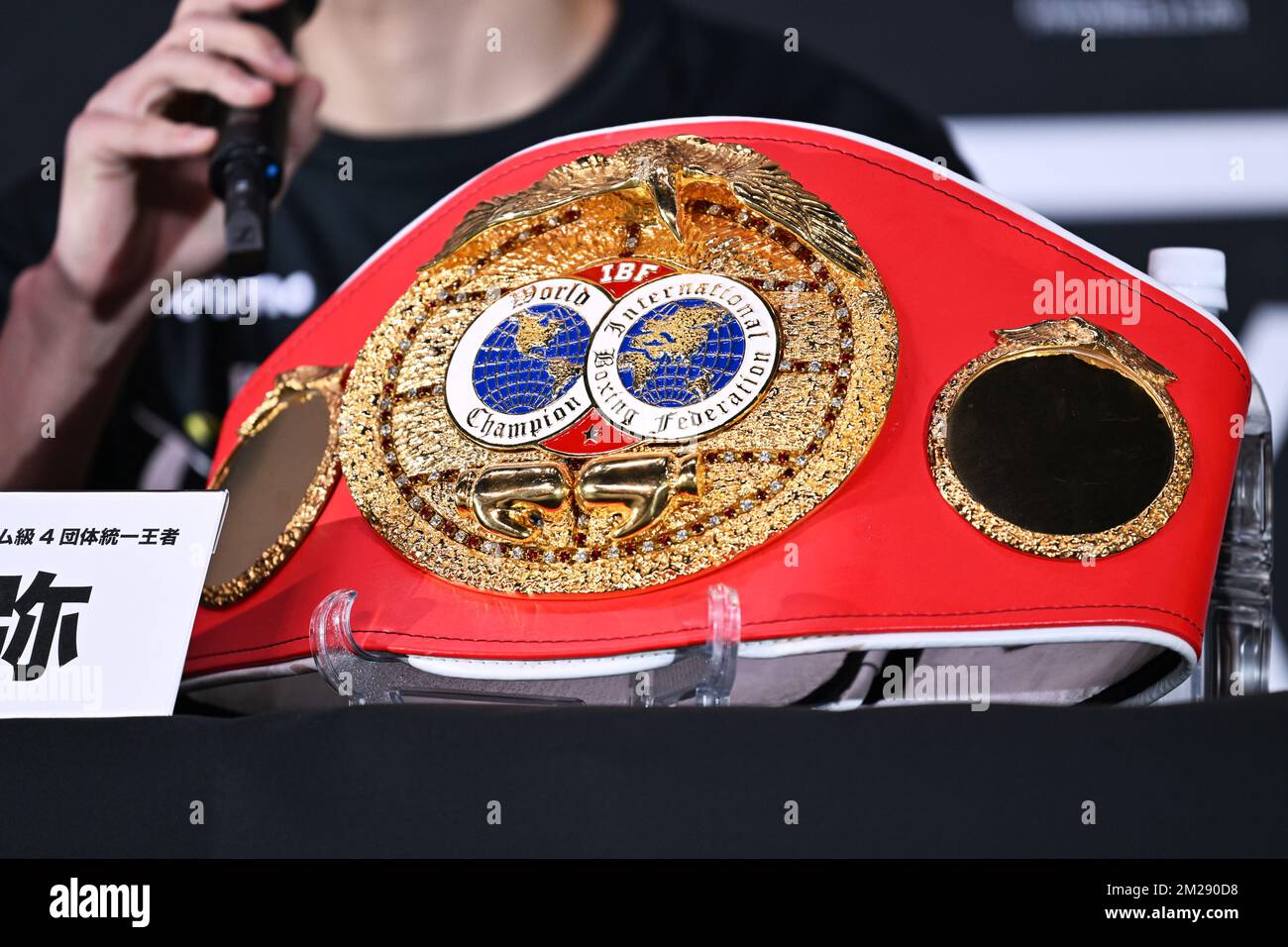 Ariake Arena Tokyo, Japan. 13th Dec, 2022. IBF General view, DECEMBER ...