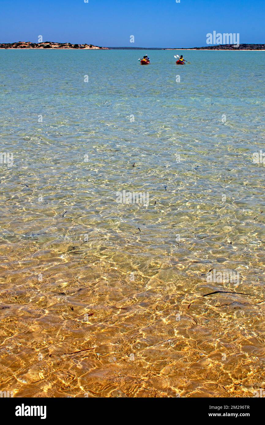 Kayaking on Big Lagoon, Francois Peron National Park Stock Photo - Alamy