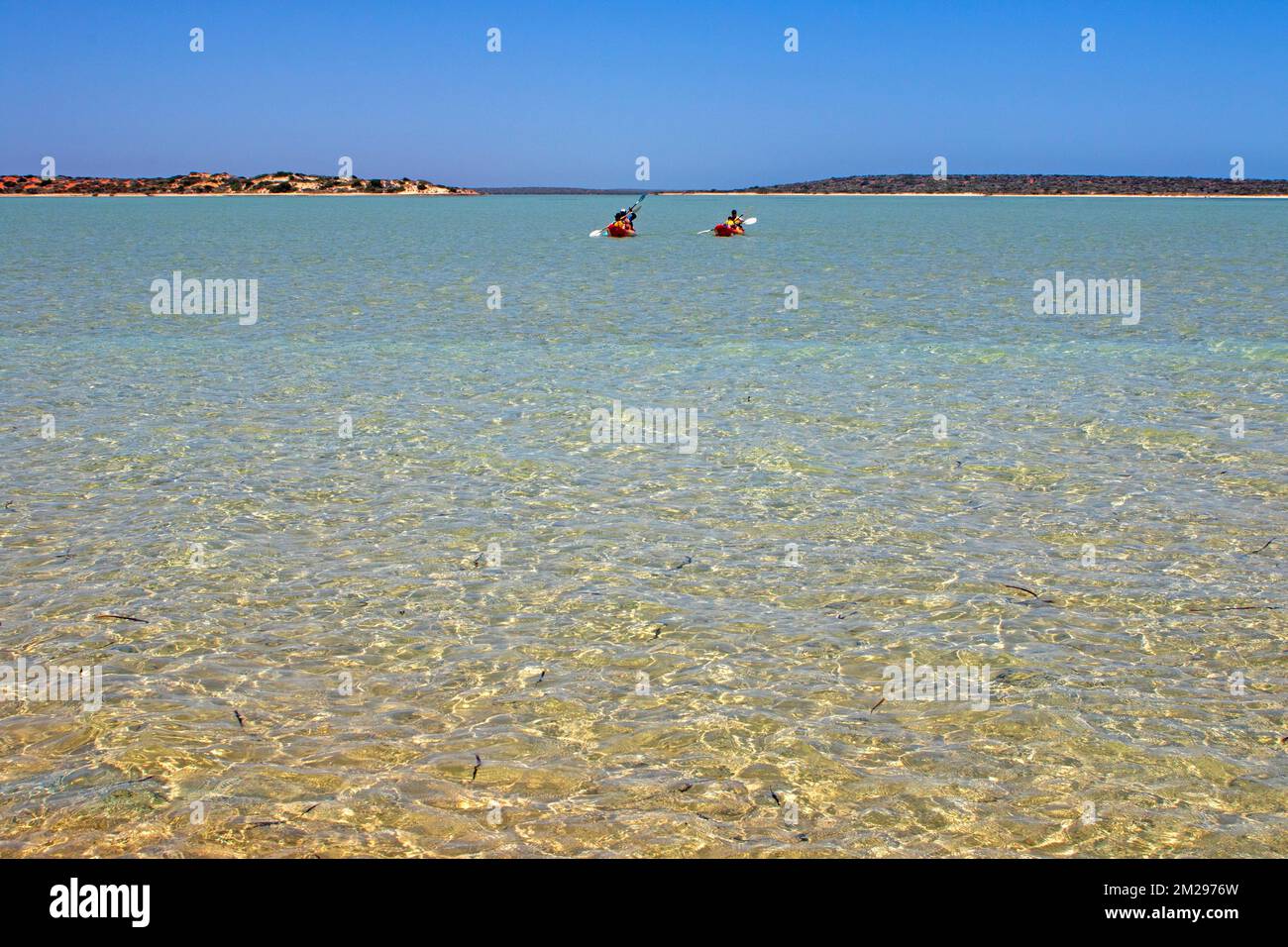 Kayaking on Big Lagoon, Francois Peron National Park Stock Photo - Alamy