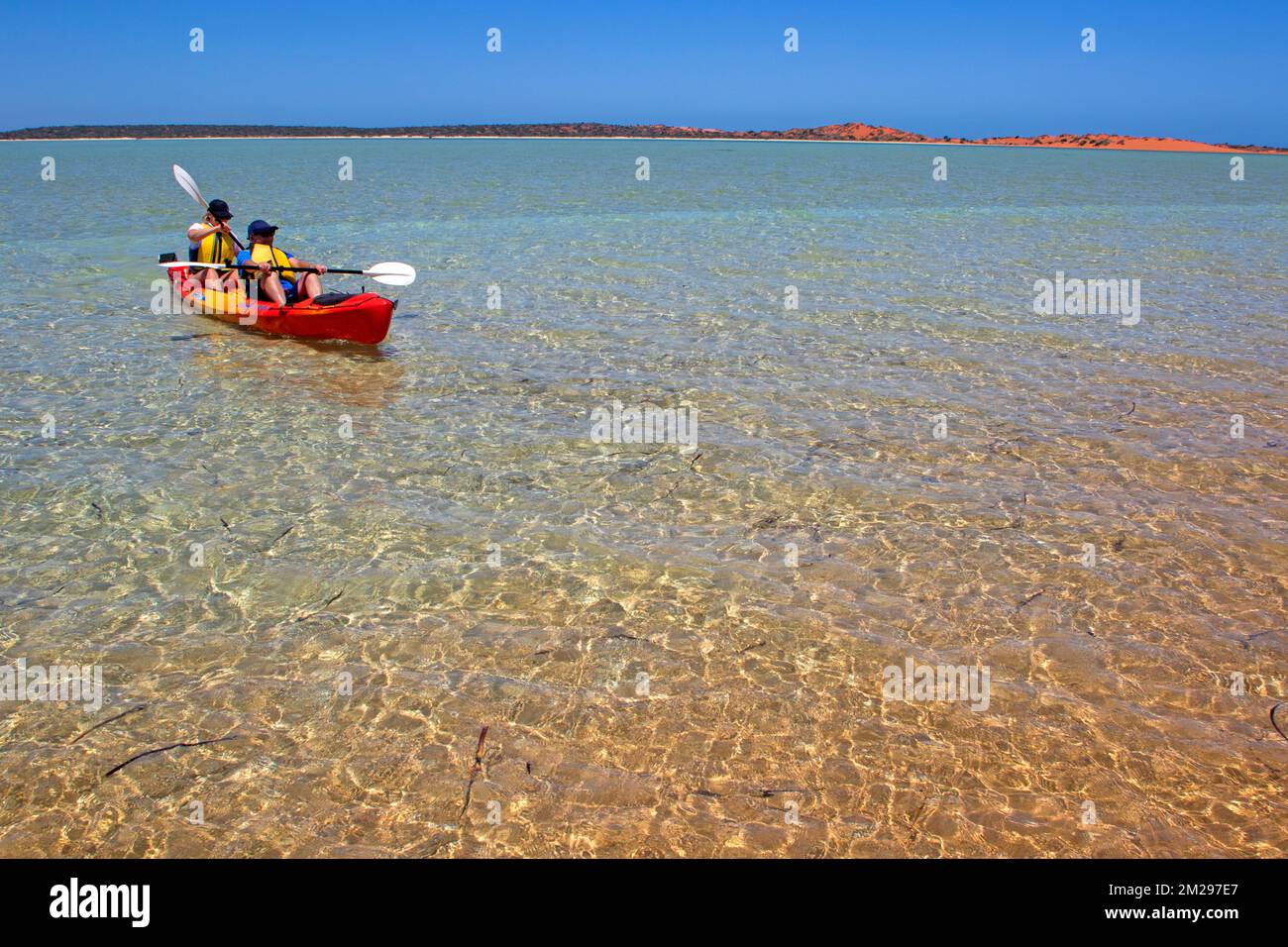 Kayaking on Big Lagoon, Francois Peron National Park Stock Photo - Alamy