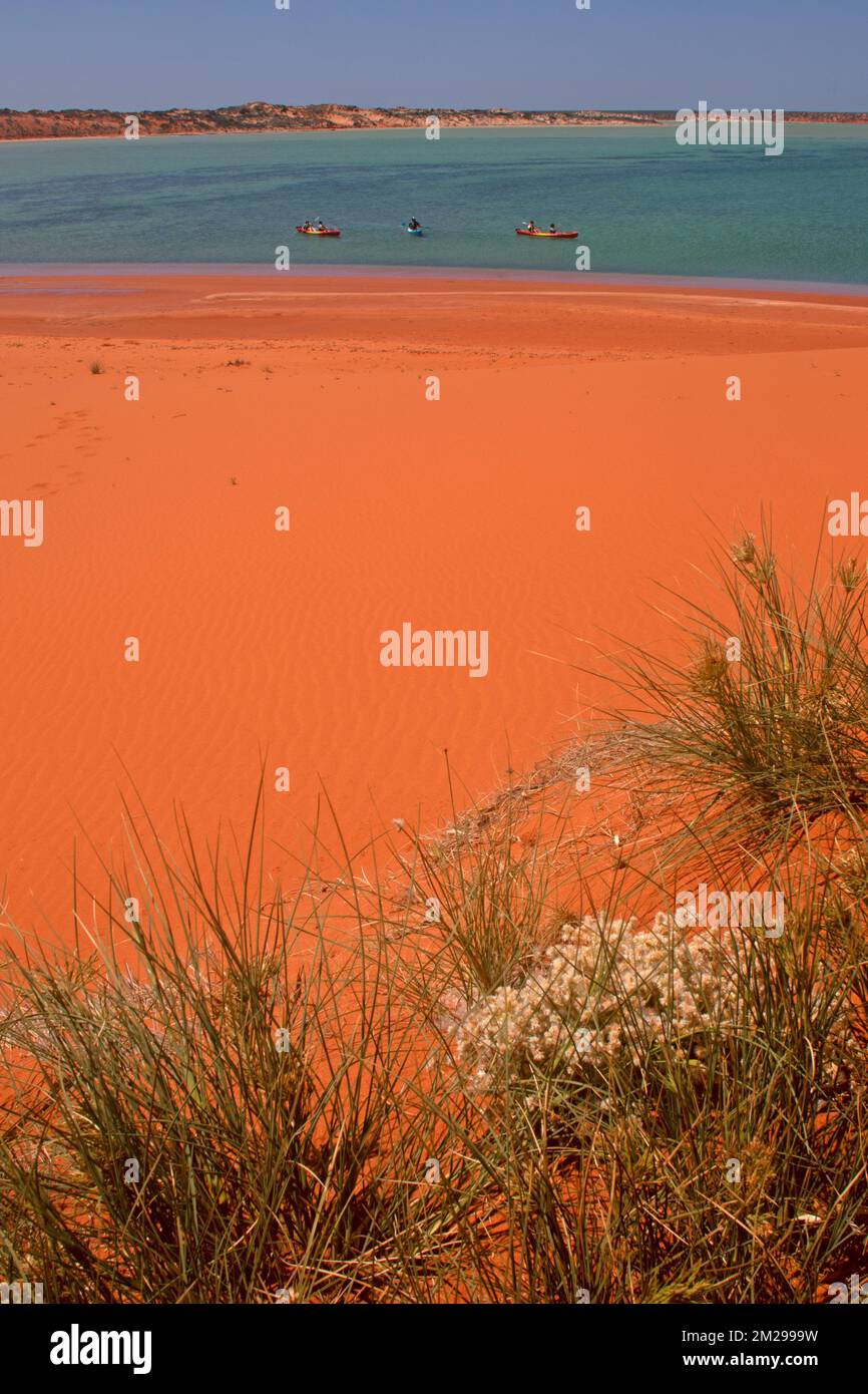 Kayaking on Big Lagoon, Francois Peron National Park Stock Photo - Alamy