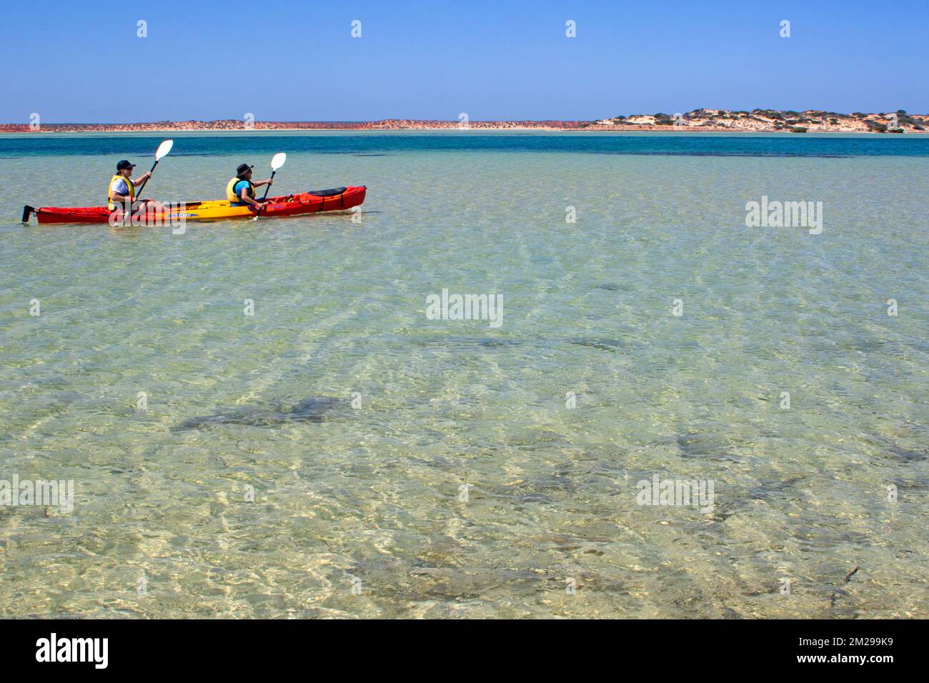 Kayaking on Big Lagoon, Francois Peron National Park Stock Photo - Alamy