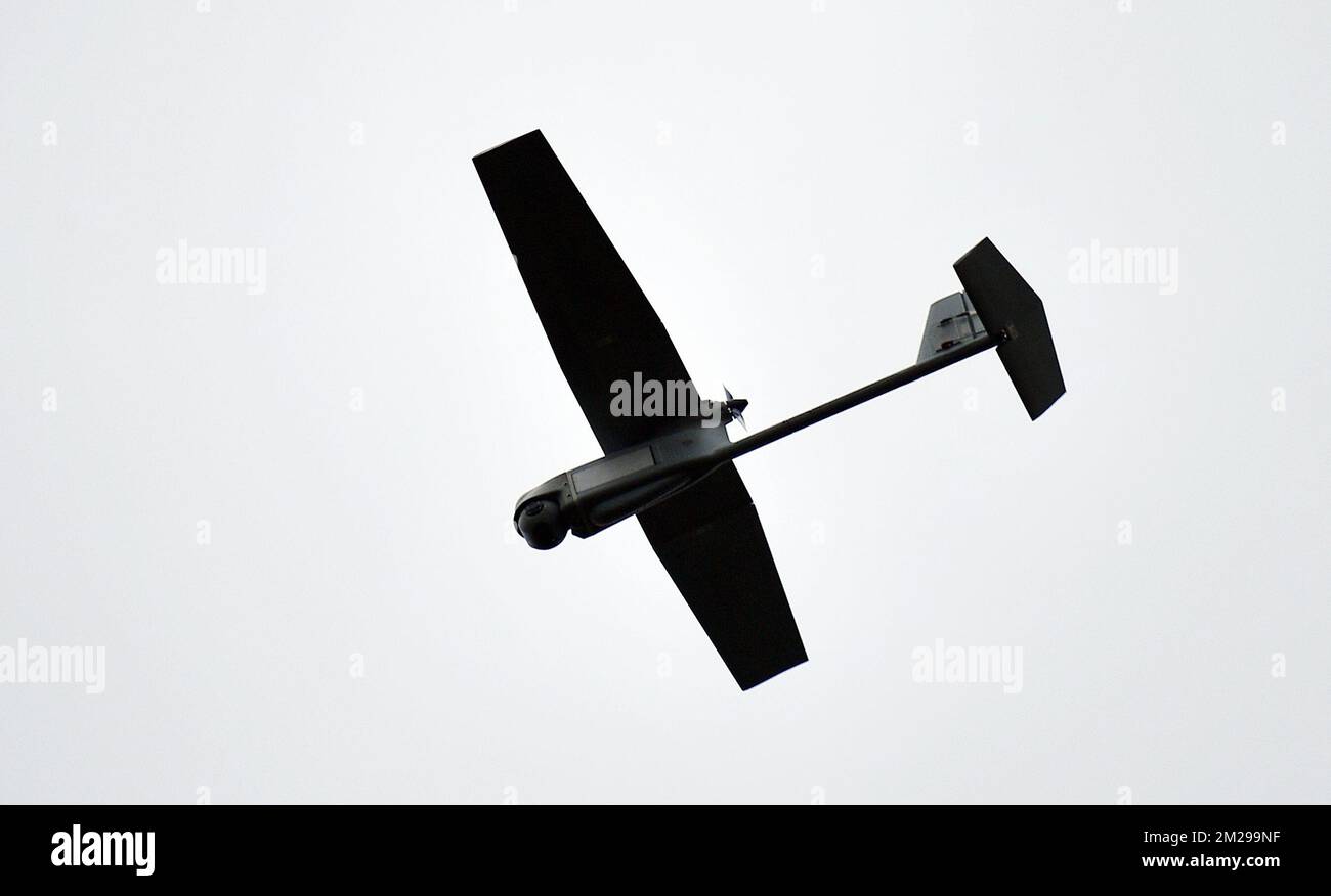 Illustration picture shows the raven flying during the presentation of ...