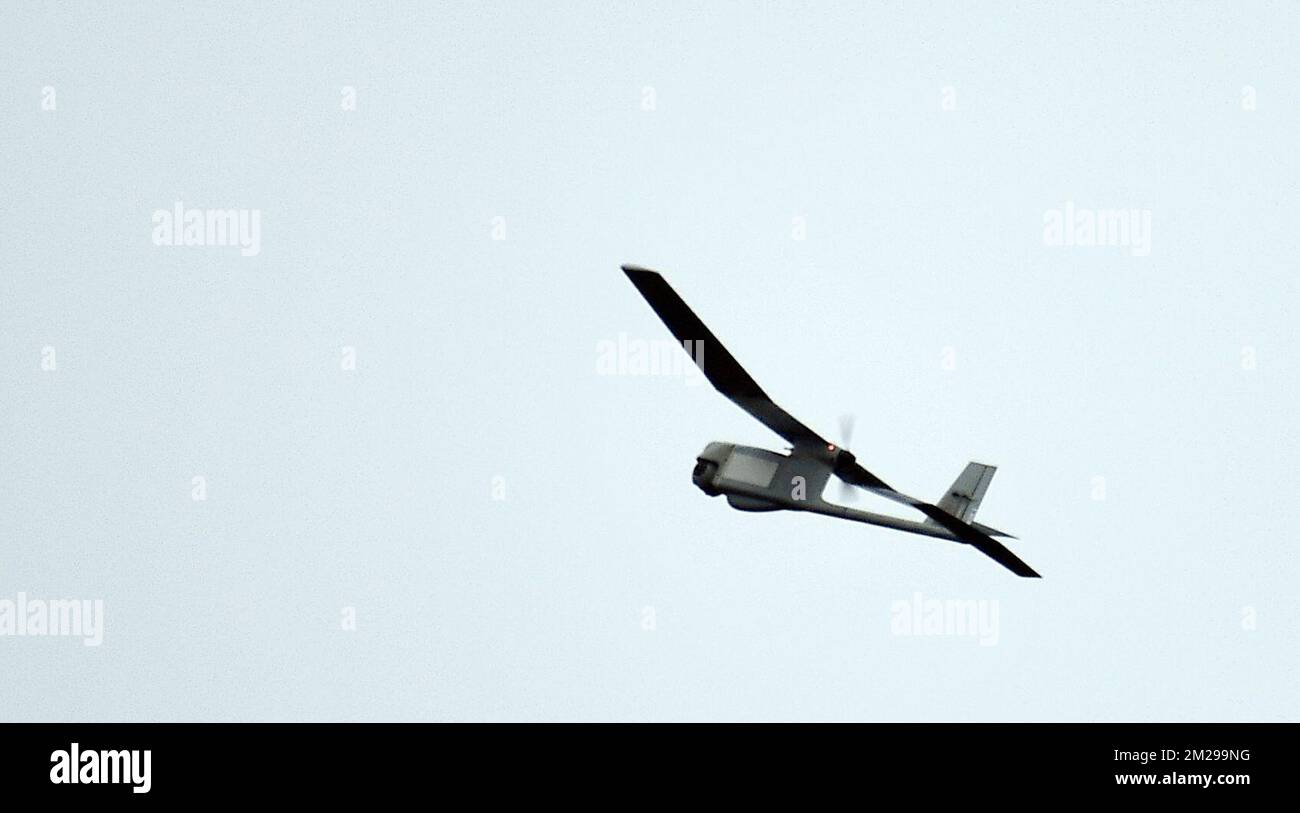 Illustration picture shows the raven flying during the presentation of ...