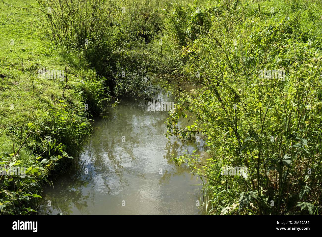 Uniale hi-res stock photography and images - Alamy