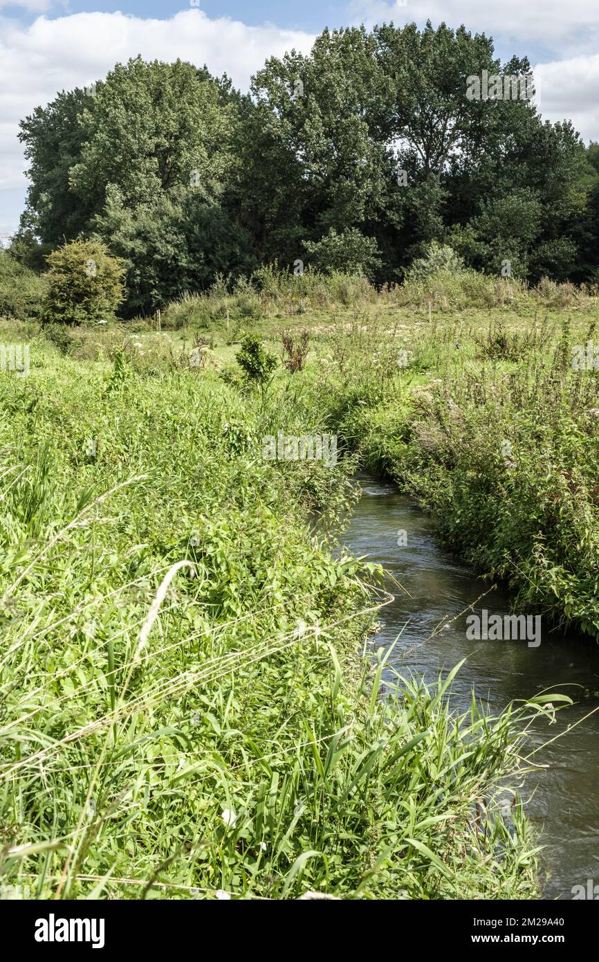 Lasne valley in Rixensart | Vallee de la Lasne a Rixensart Le vallon du ...