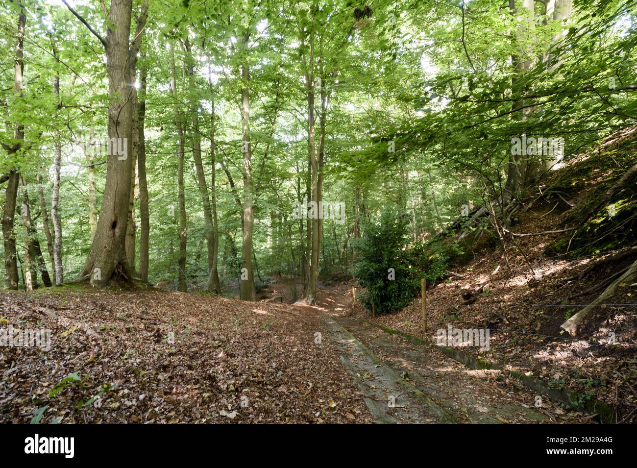 Vastgoedmarkt hi-res stock photography and images - Alamy