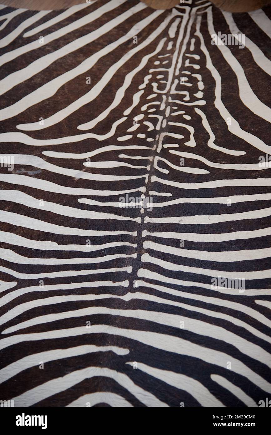 Zebra textures | Textures zèbre 20/08/2017 Stock Photo - Alamy