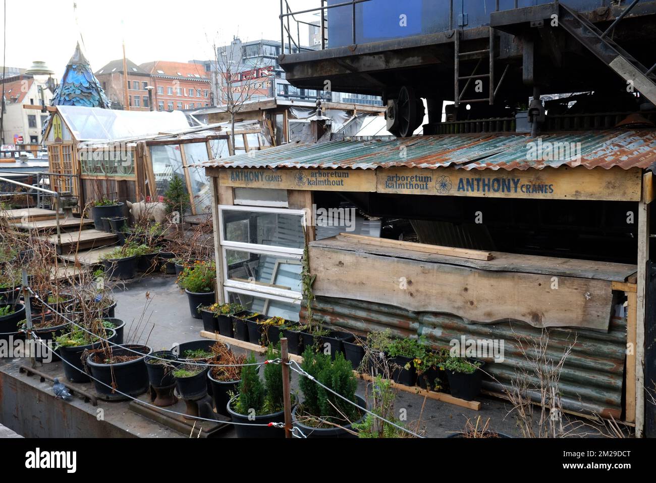 Anvers | Anvers - Le Bar Paniek au pied du MAS 08/12/2013 Stock Photo ...