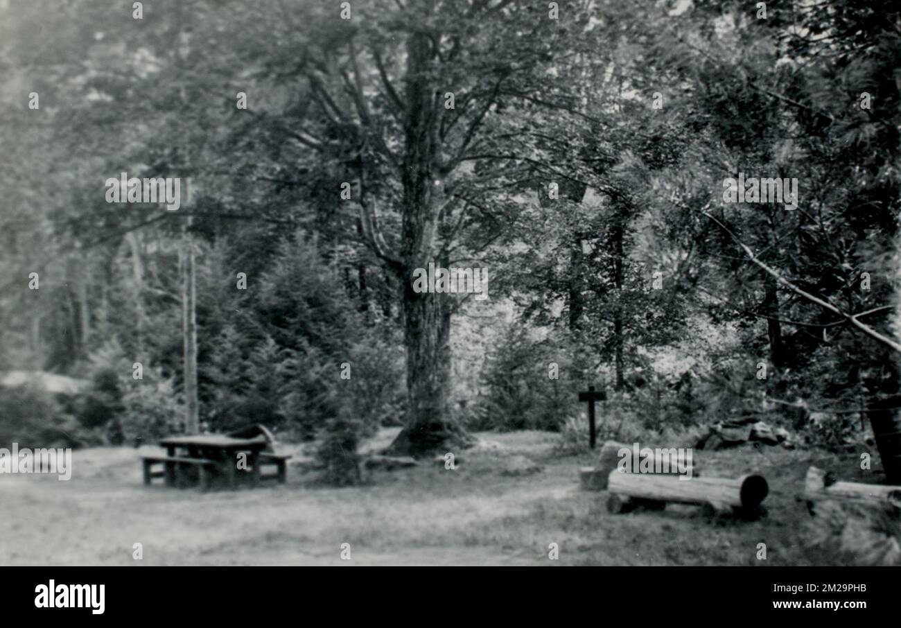 Civilian Conservation Corps (CCC) Camp, State Forest, 1930s , Work ...
