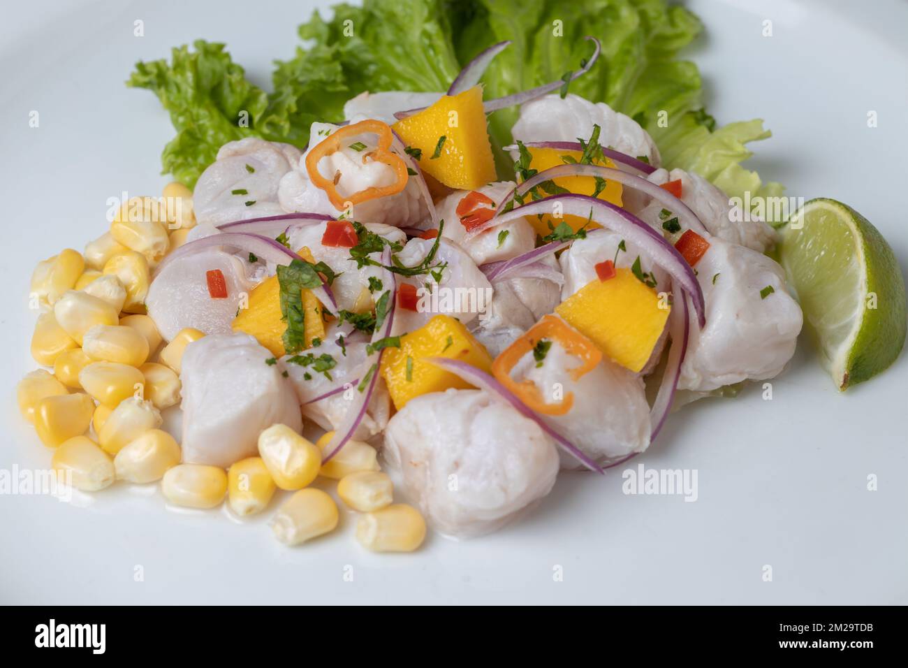 Close up of Ceviche, typical fish-based dish of Peruvian cuisine on ...
