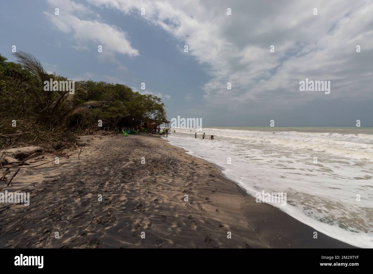 Palomino island hi-res stock photography and images - Alamy