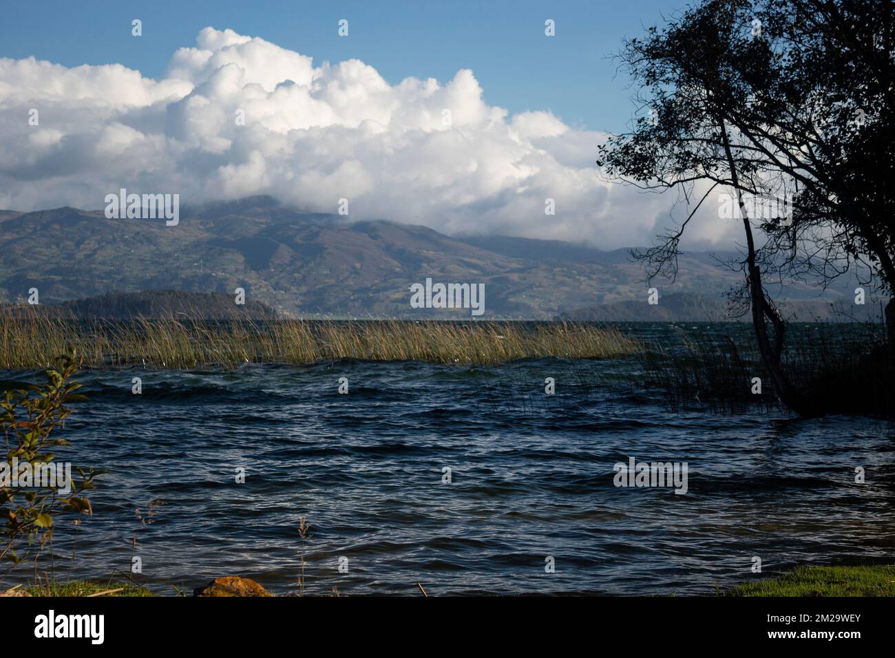 Colombian lake sunset with andean mountains at background Stock Photo ...