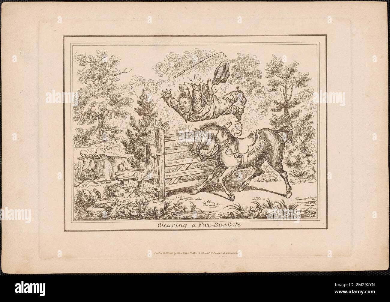 Clearing a five-bar-gate , Bulls, Horses, Horseback riding, Accidents ...