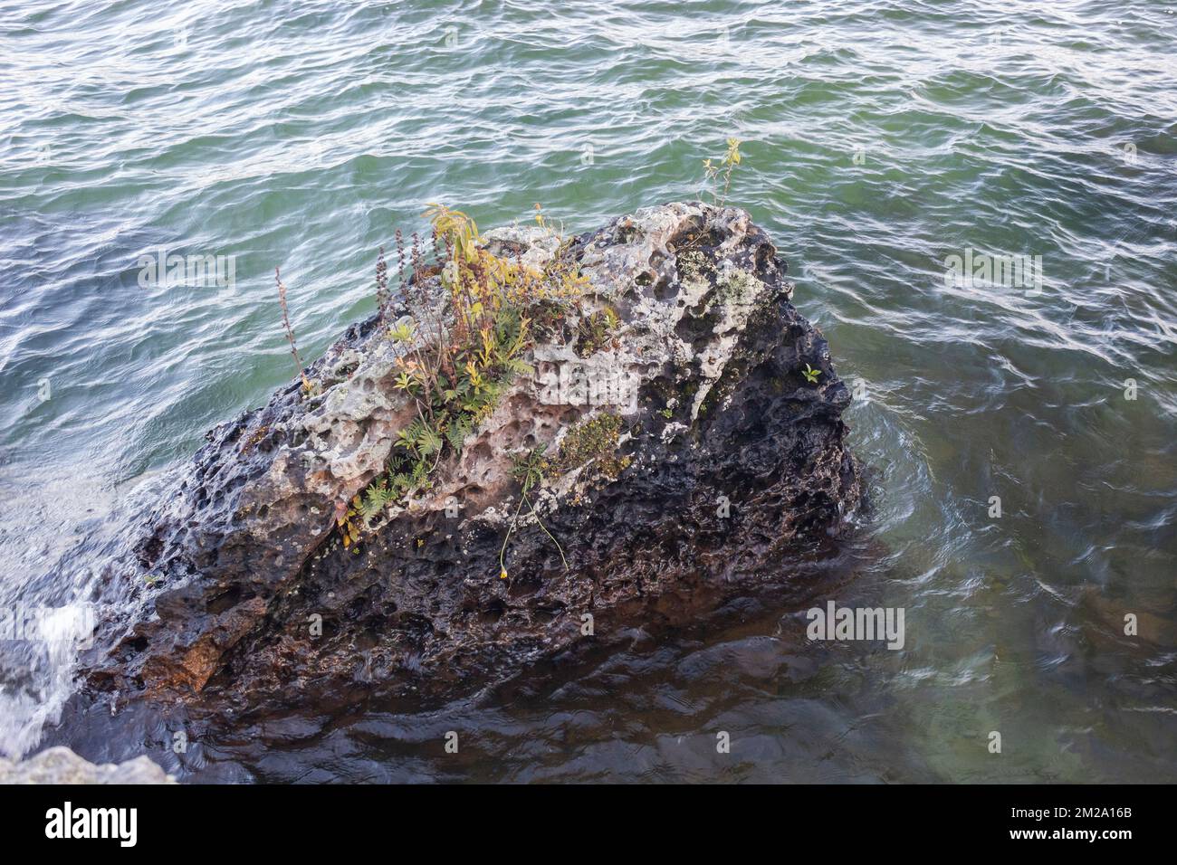 Close up to a extrange rock into blue lake water with green bushes ...