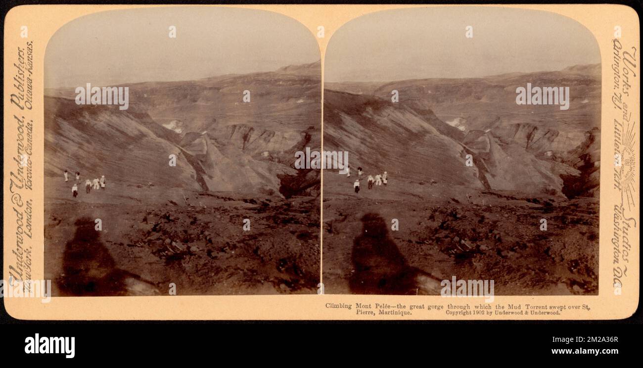 Climbing Mont Pelée - the great gorge through which the mud torrent ...