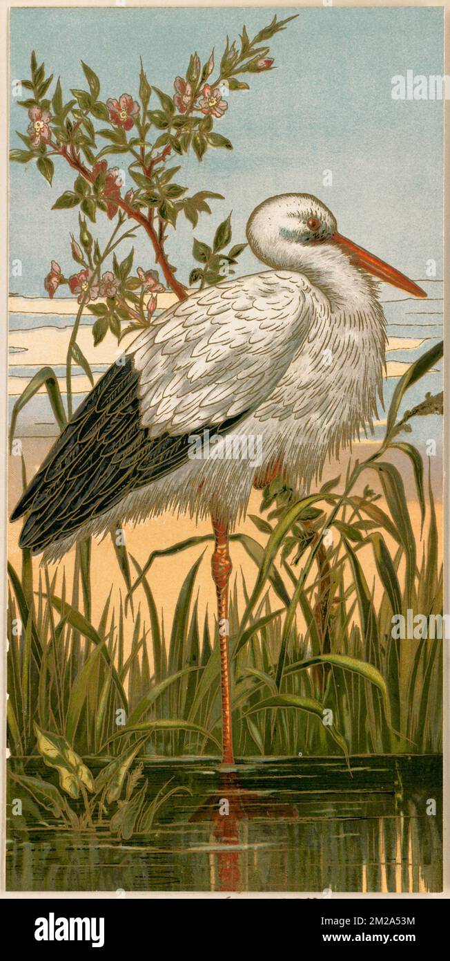 Cloisonne, stork , Storks, Flowers, Bodies of water. Louis Prang ...