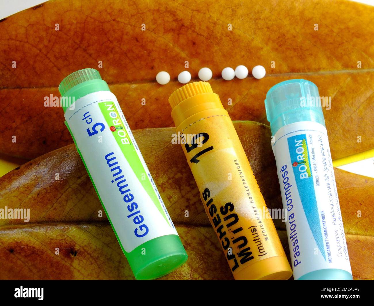 Homeopathy | Homéopathie granules Gelsemium 07/10/2017 Stock Photo - Alamy