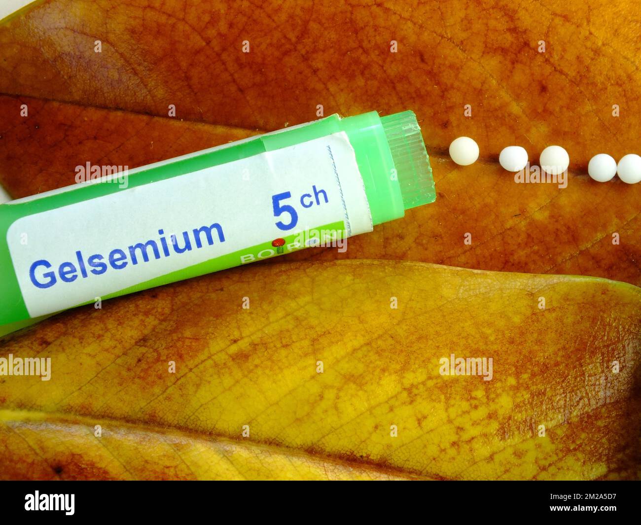 Homeopathy | Homéopathie granules Gelsemium 07/10/2017 Stock Photo - Alamy