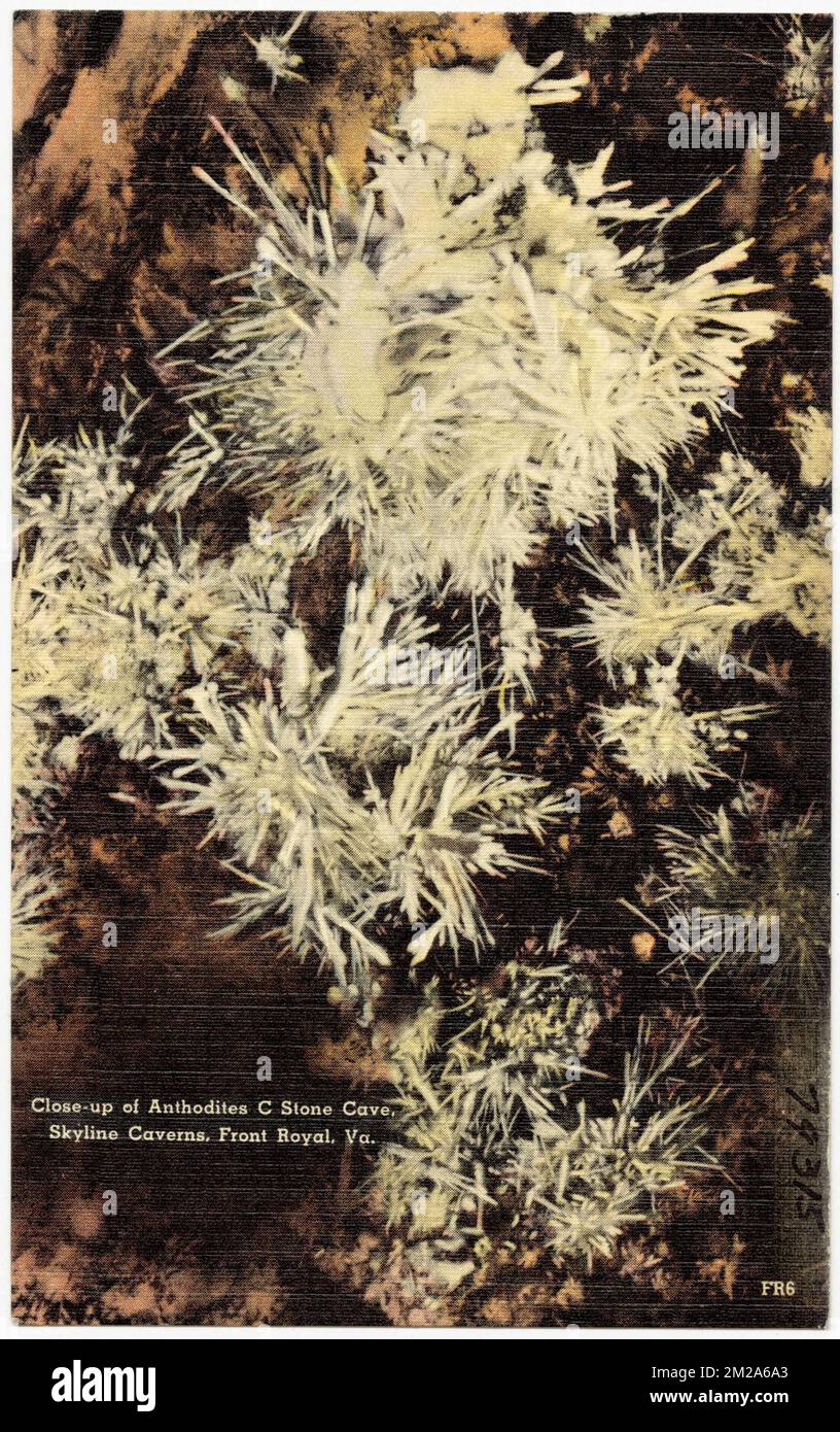 Close-up of Anthodites C Stone Cave, Skyline Caverns, Front Royal, Va ...