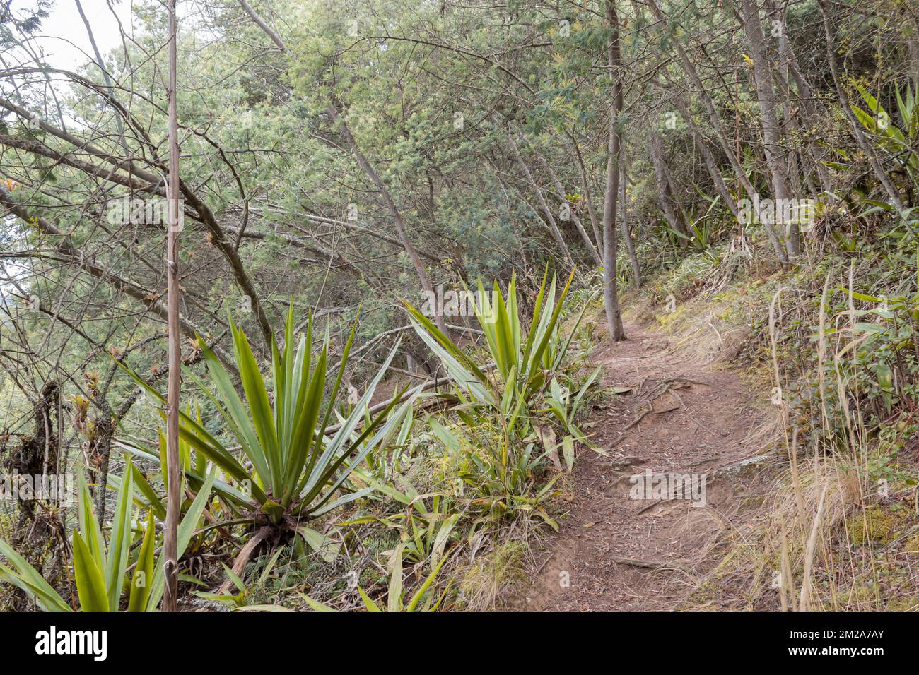 Little sand mountain hi-res stock photography and images - Alamy