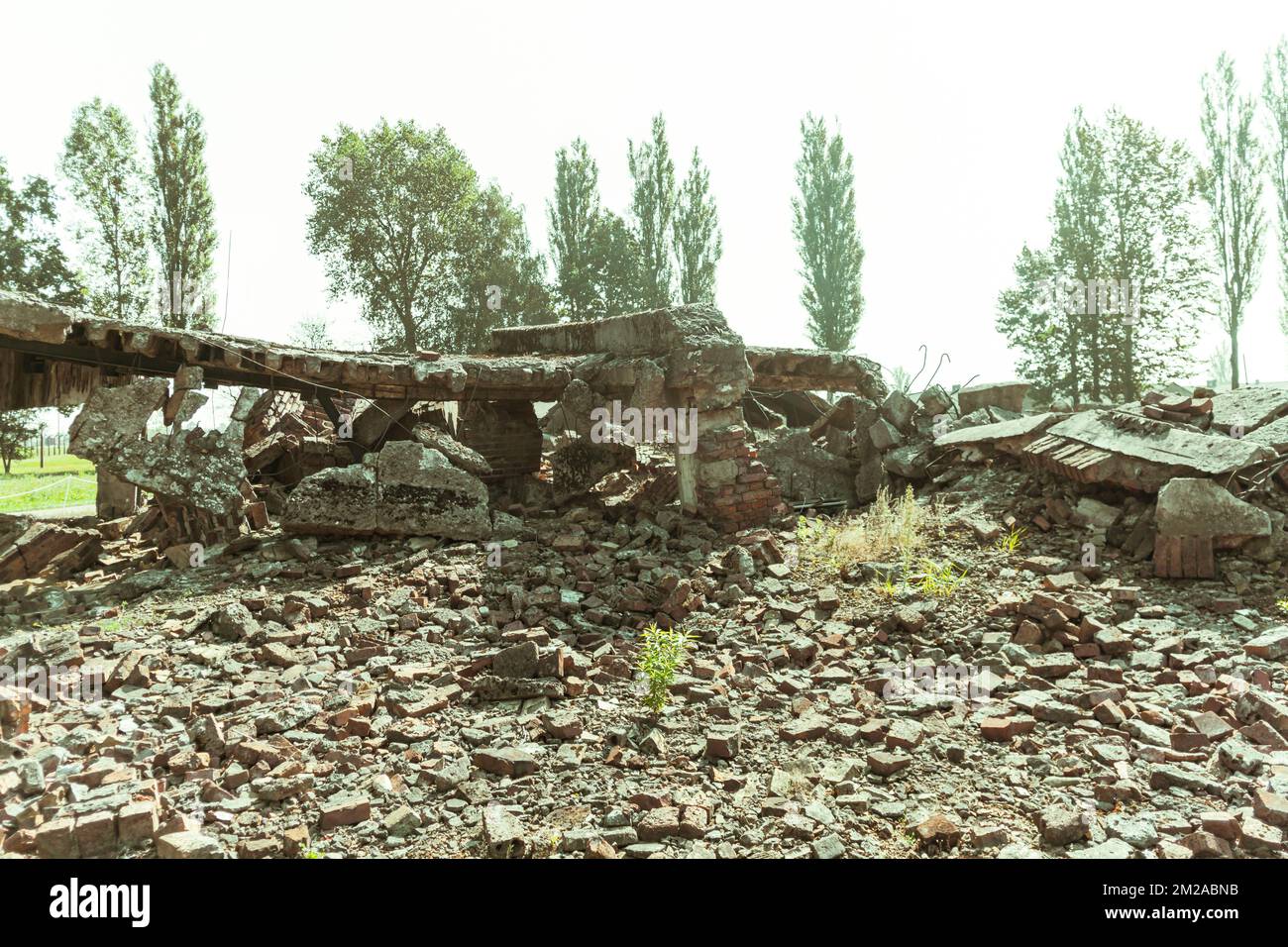 Ruins of crematory and gas chamber at Auschwitz II - Birkenau nazi ...