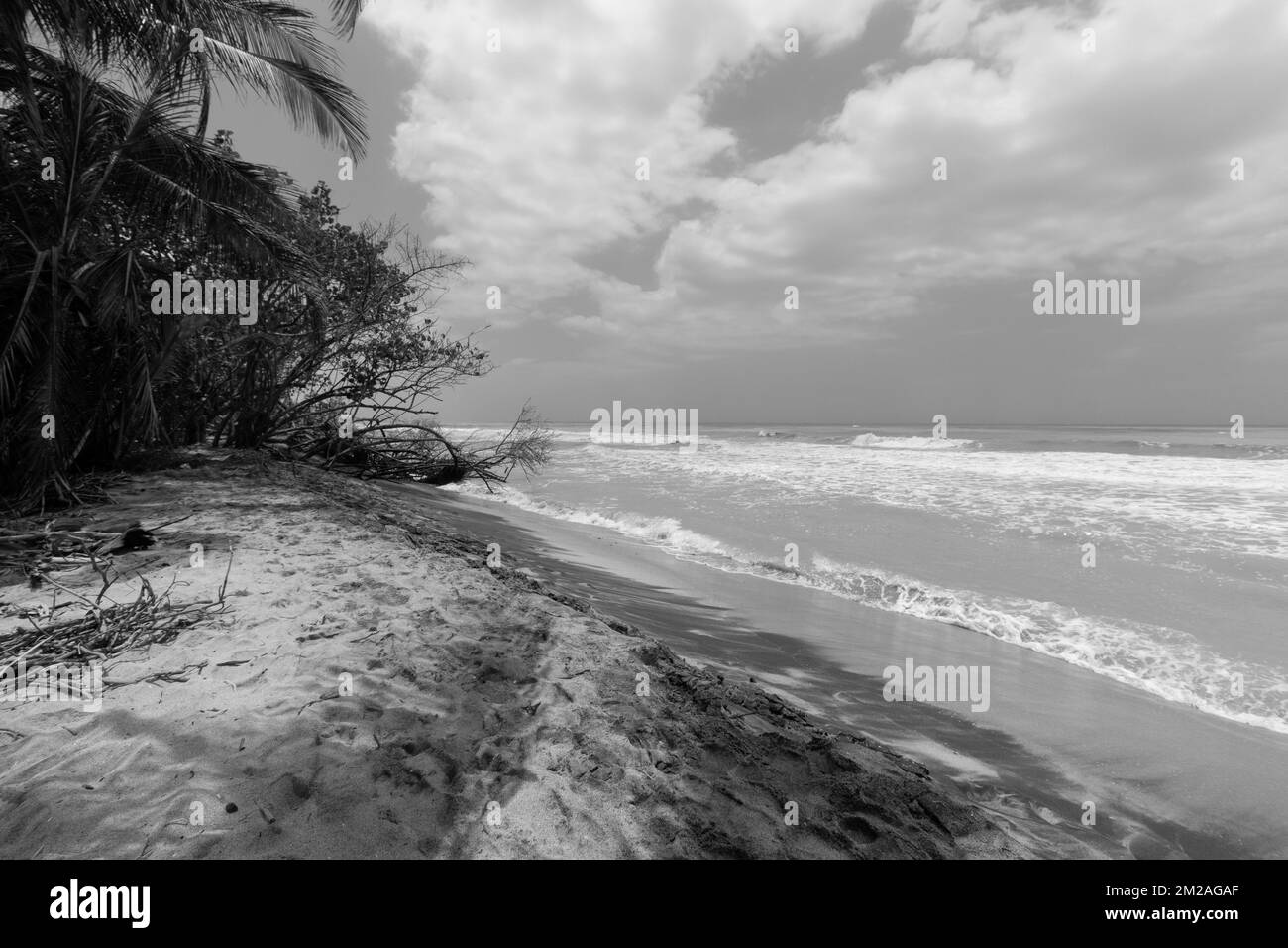 Colombian Guajira beach landscape, black and white photography Stock ...