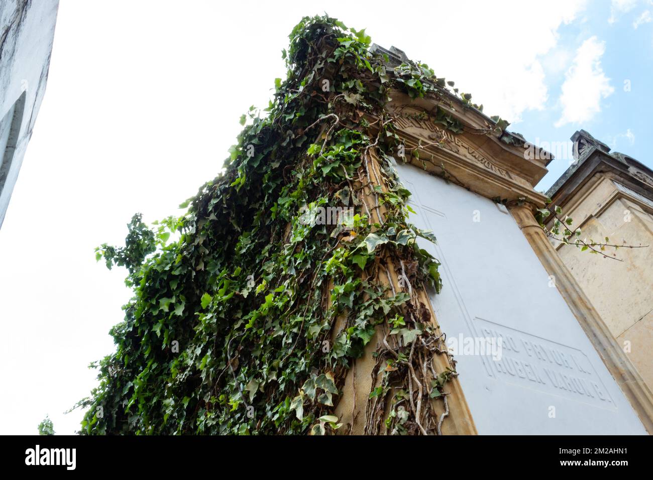 An ancient Crypt / mausoleum full of climbing plants and moss at ...